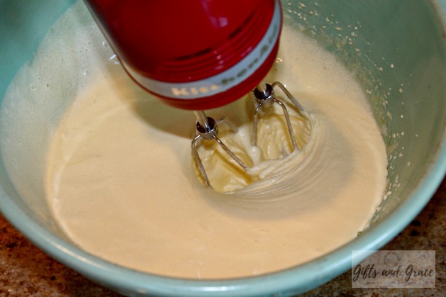 Learning How to Make Homemade Ice Cream - Gifts and Grace